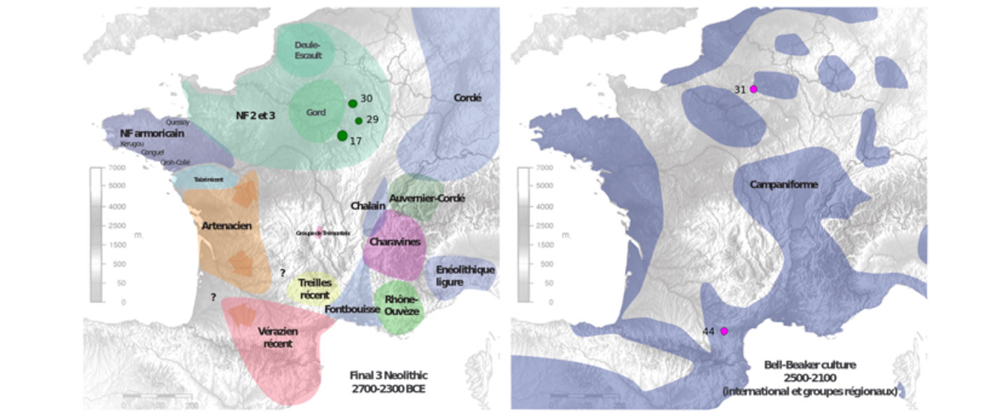 Survival of hunter-gatherer ancestry in West-Central European Neolithic ...